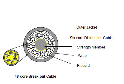 Break-out Fiber Optic CableⅡ