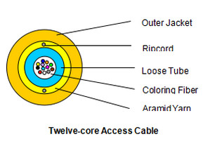 Twelve-core Access Cable